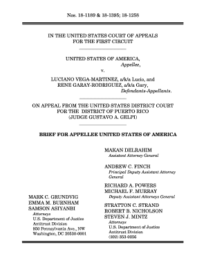 Fillable Online Brief for the Appellee United States of America Luciano ...