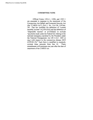 Fillable Online COMMITTEE NOTE Official Forms 122A-1, 122B, and 122C-1 ...