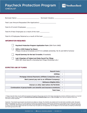 1906 Bir Form - Fill Online, Printable, Fillable, Blank | pdfFiller