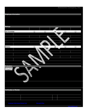 Fillable Online Employee Performance Review Sample- SallyUnit 3, Lesson ...