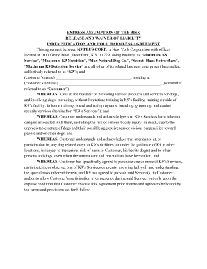 Fillable Online EXPRESS ASSUMPTION OF THE RISK Fax Email Print - pdfFiller