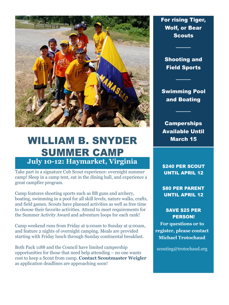 Fillable Online WILLIAM B. SNYDER SUMMER CAMP Fax Email Print - pdfFiller