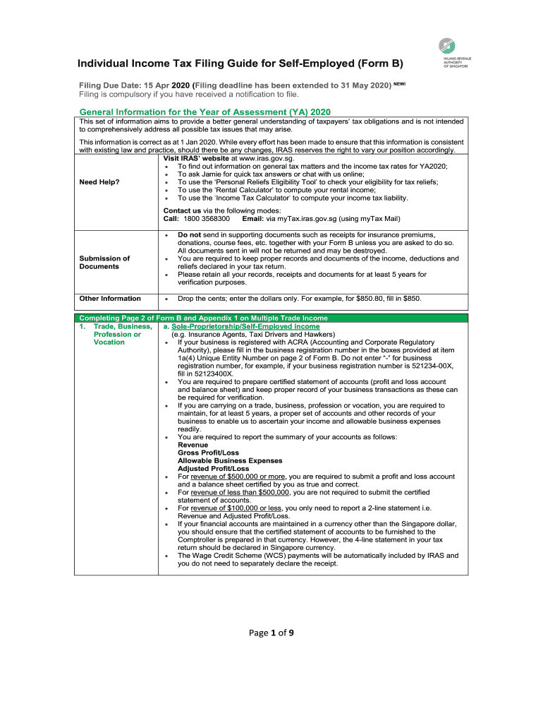 Fillable Online Form B Guide2020 final (ext) Fax Email Print - pdfFiller