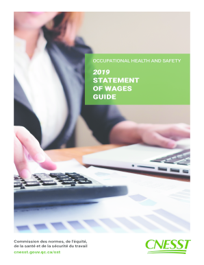 Fillable Online 2019 statement of wages guide. This guide provides the ...