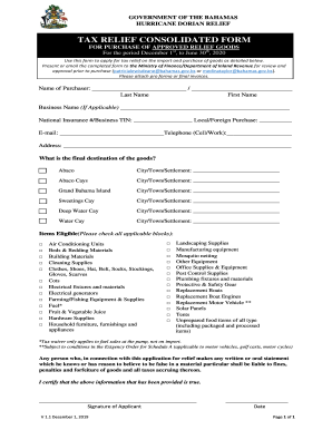 Tax Relief Consolidated Form Bahamas - Fill and Sign Printable Template ...