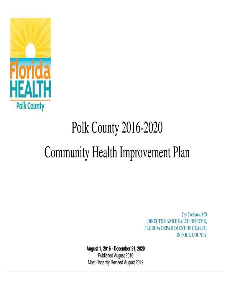 Fillable Online Polk County 2016-2020 Community Health Improvement Plan Fax Email Print - pdfFiller
