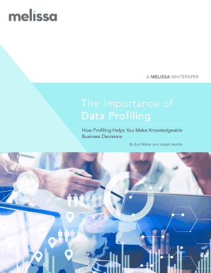 Fillable Online The Importance of Data Profiling - Melissa Data Fax Email Print - pdfFiller