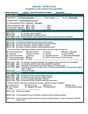 Fillable Online GOLDIE ASSOCIATES STORMWATER INSPECTION REPORT Fax ...