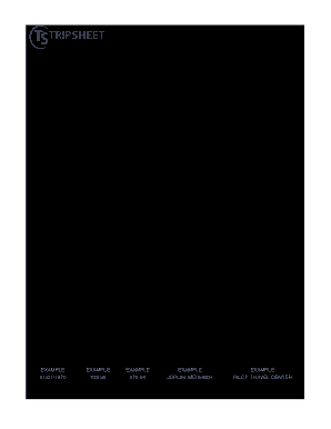 Fillable Online IFTA Fuel Tax Reports Trip Sheet Central Fax Email ...