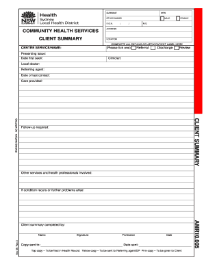 Fillable Online SLHD - Client Summary Form Fax Email Print - pdfFiller