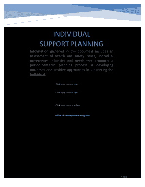 Fillable Online INDIVIDUAL Support Planning. Information gathered in ...