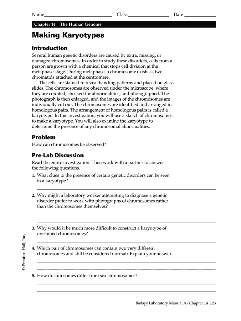 Fillable Online Human Karyotype Lab Answers - Howtogeek GB Fax Email ...