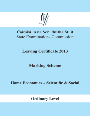 Fillable Online 2013 - Examinations.ie Fax Email Print - pdfFiller