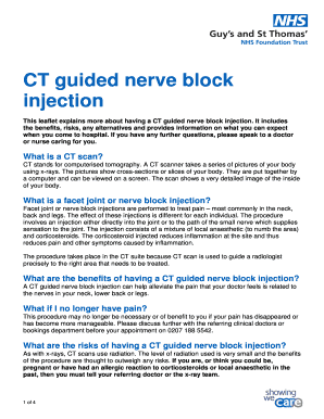 Fillable Online CT guided nerve block Fax Email Print - pdfFiller