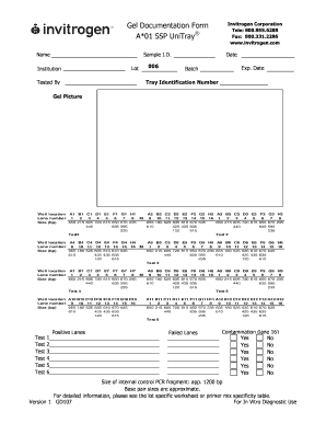 Abt 6013 Pdf - Fill Online, Printable, Fillable, Blank | pdfFiller