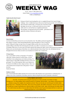 Fillable Online CLYTHA PRIMARY SCHOOL Fax Email Print - pdfFiller