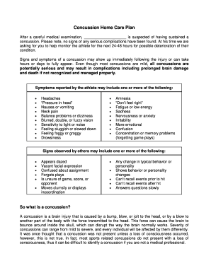 Fillable Online Concussion Home Care Plan Fax Email Print - pdfFiller