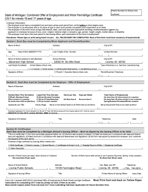 Fillable Online State of Michigan Combined Offer of Employment and Work ...