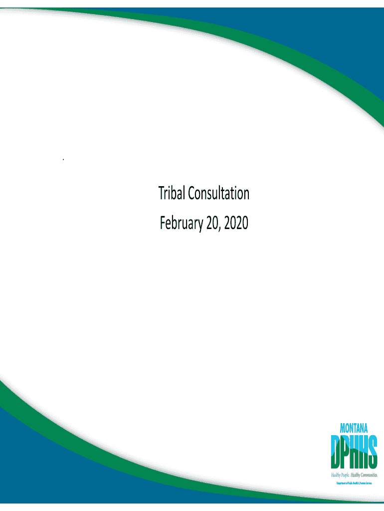 Fillable Online dphhs mt SDMI Waiver Renewal Tribal Consultation phone ...