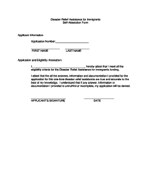 Fillable Online Disaster Relief Assistance for Immigrants Self ...