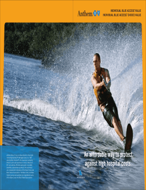 Fillable Online INDIVIDUAL BLUE ACCESS VALUE Fax Email Print - pdfFiller