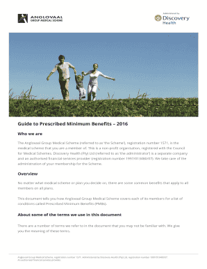 Fillable Online PROGRAM PLAN C FORM Fax Email Print - pdfFiller