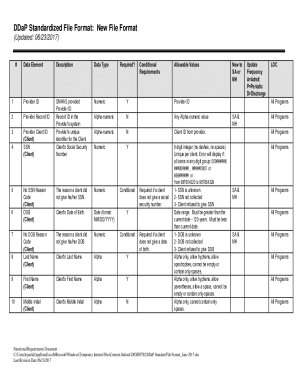 Fillable Online DDaP Standardized File Format: New File Format Fax ...