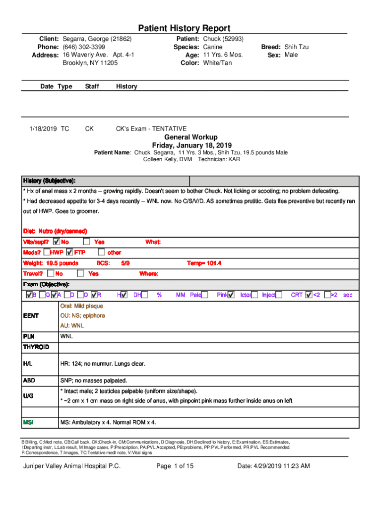 Fillable Online PDF Patient History Report Fax Email Print - pdfFiller