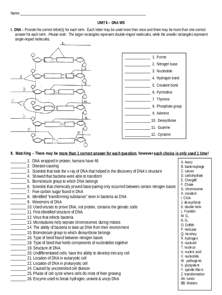 Deoxyribonucleic Acid (DNA) Fact Sheet - Genome.gov Doc Template ...