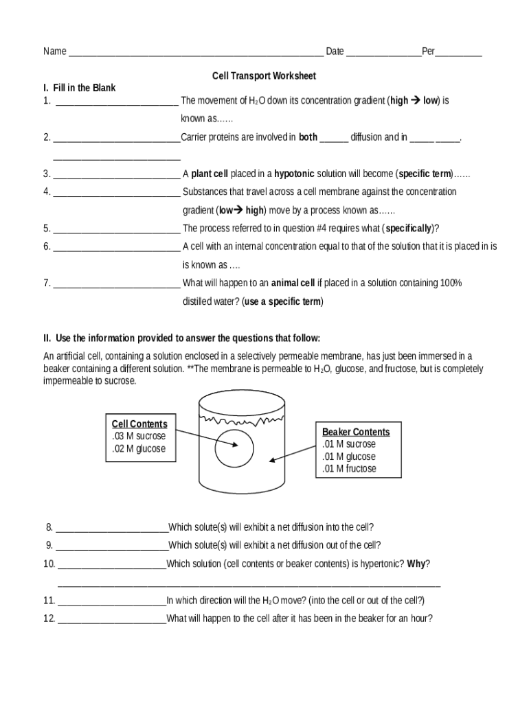Cell Transport Review Worksheet Doc Template PdfFiller Cell Transport Review Worksheet Doc Template PdfFiller