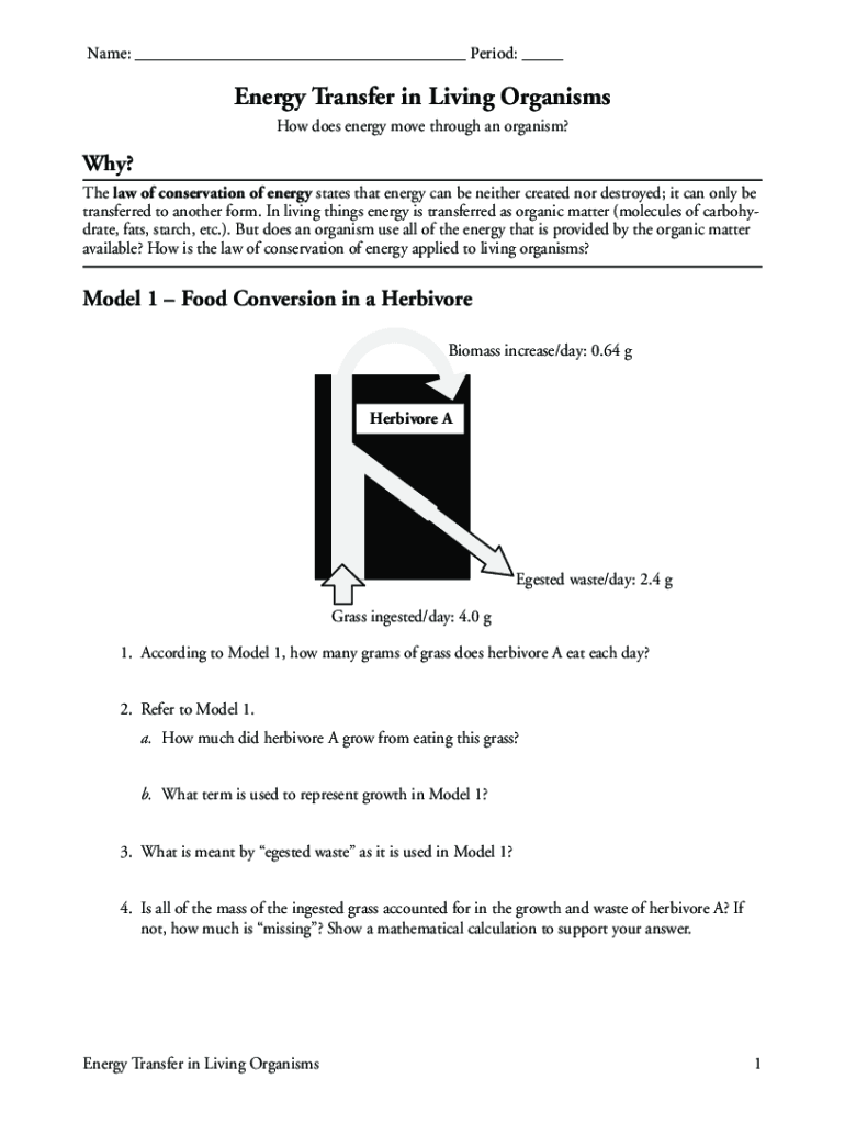 Pogil Energy Transfer In Living Organisms Answer Key - Fill Online ...