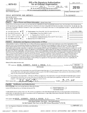 Fillable Online irs-990-form.com - Form 990 - Online Fillable ...