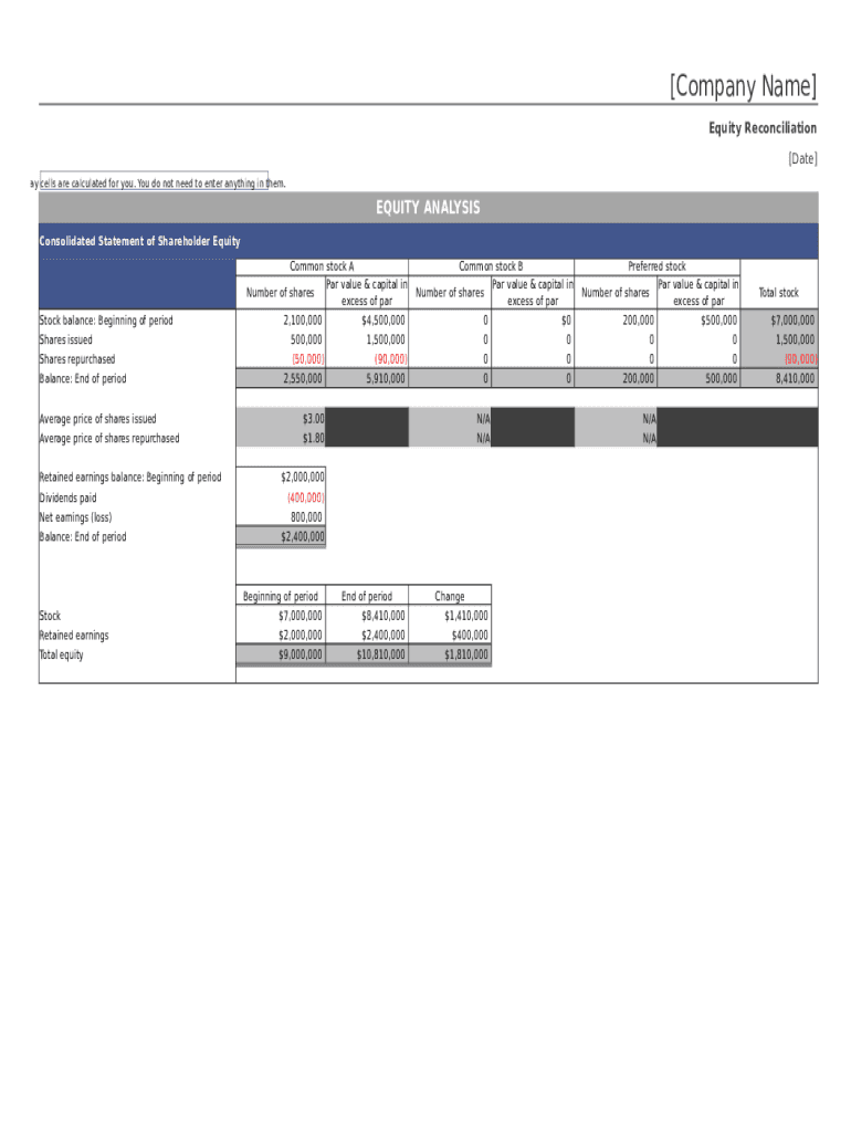Equity Reconciliation Template Form - Fill Online, Printable, Fillable ...