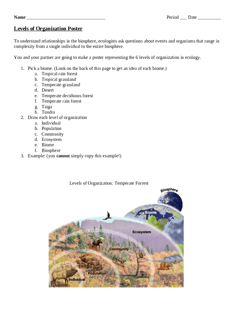 The levels of organization in the biosphere. by Darien Rogers Doc ...