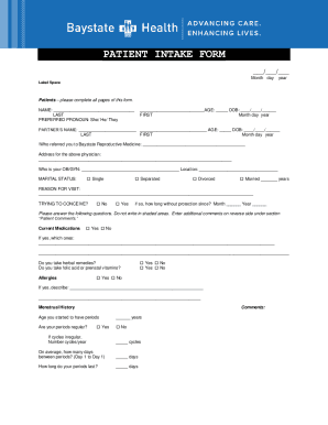 Fillable Online PATIENT INTAKE FORM - Baystate Health Fax Email Print ...