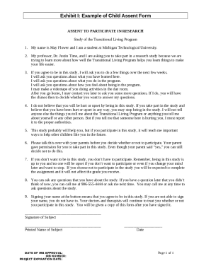 Example of Assent - Michigan Technological University Doc Template ...