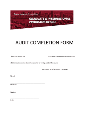 Fillable Online AUDIT COMPLETION FORM Fax Email Print - pdfFiller