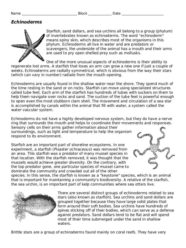 Starfish, sand dollars, and sea urchins all belong to a group (phylum ...