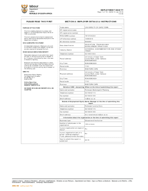 Fillable Online TEMPLATE FOR EMPLOYMENT EQUITY PLAN - University of ...