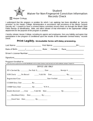 CRIMINAL RECORD STATEMENT - SDSU Doc Template | pdfFiller