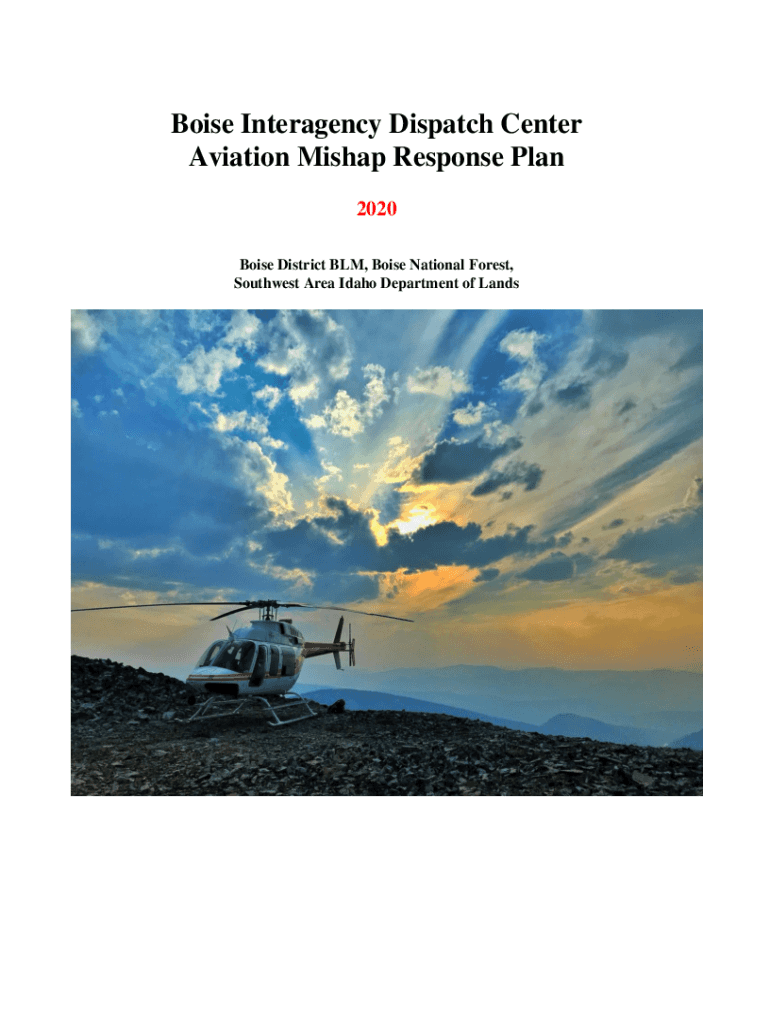 Fillable Online Boise Interagency Dispatch Center Aviation Mishap ...