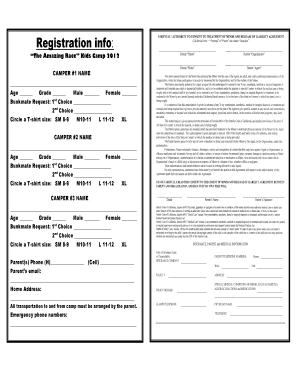 Fillable Online The Amazing Race Registration Form - The Rock of ...