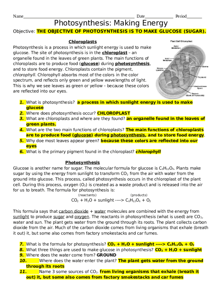 Photosynthesis Making Energy Worksheet Doc Template PdfFiller