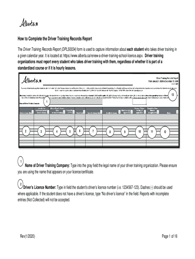 Fillable Online How to complete the Driver Training Records Report ...