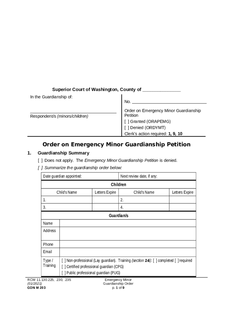 Order on Emergency Minor Guardianship Petition Doc Template | pdfFiller
