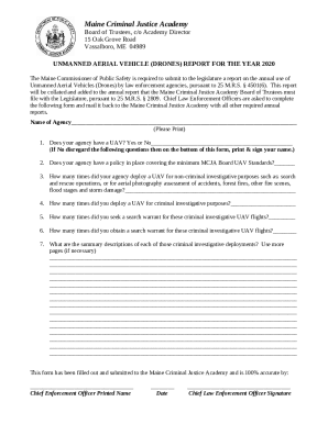 UNMANNED AERIAL VEHICLE (DRONES) REPORT FOR THE YEAR 2020 Doc Template ...