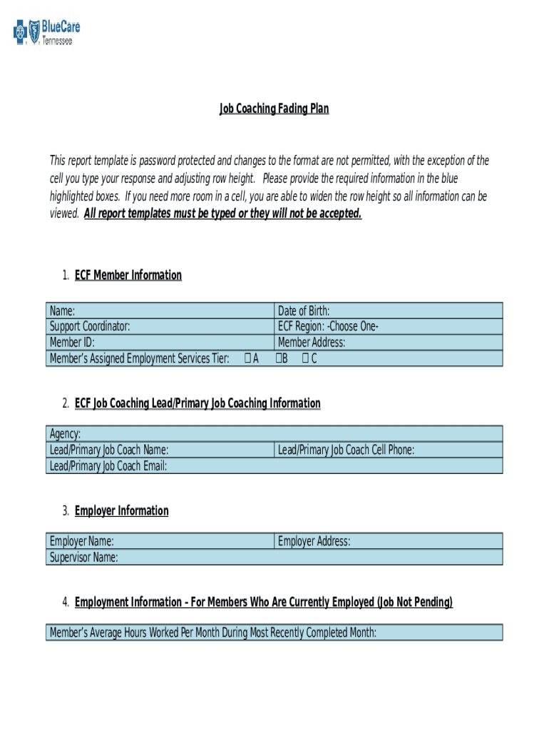 Job Coaching Strategies Sample - Attainment Company Doc Template ...