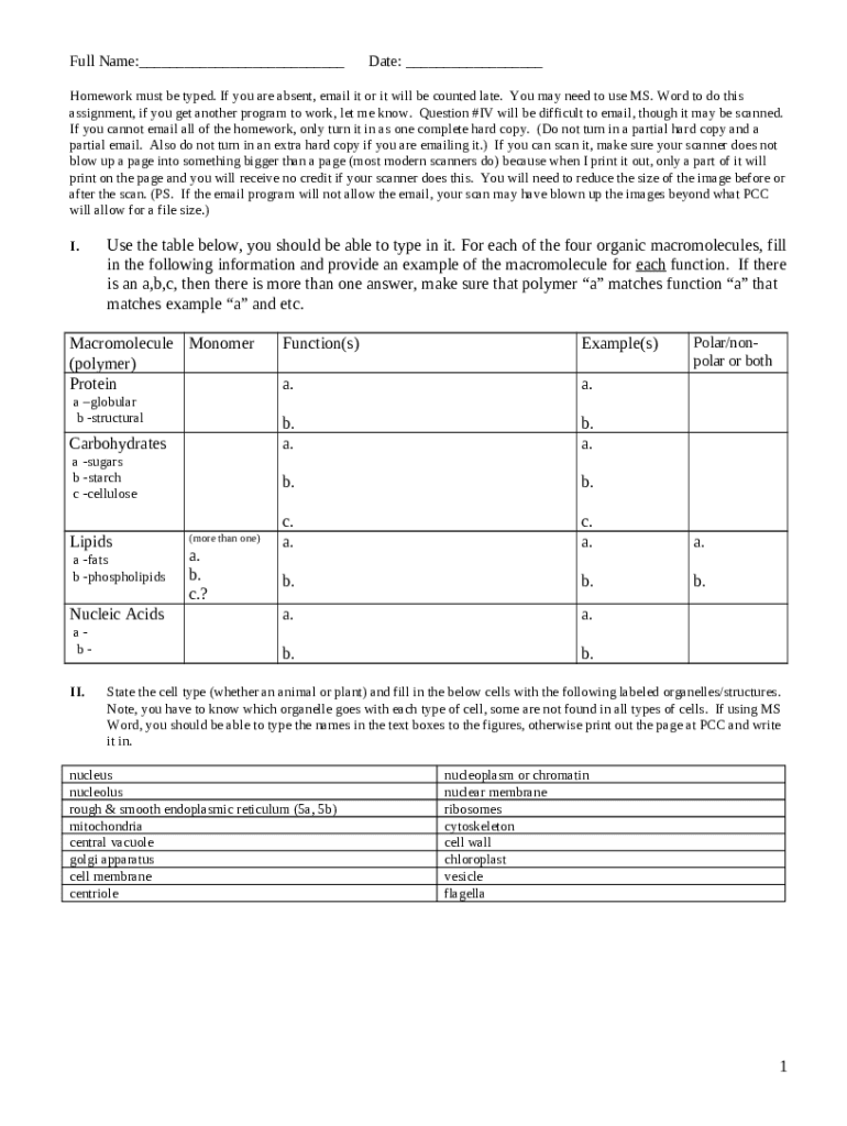 Homework must be typed - spot pcc Doc Template | pdfFiller