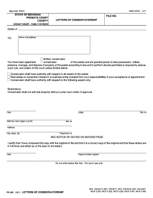 Fillable Online Letters of Conservatorship - Forms Fax Email Print ...