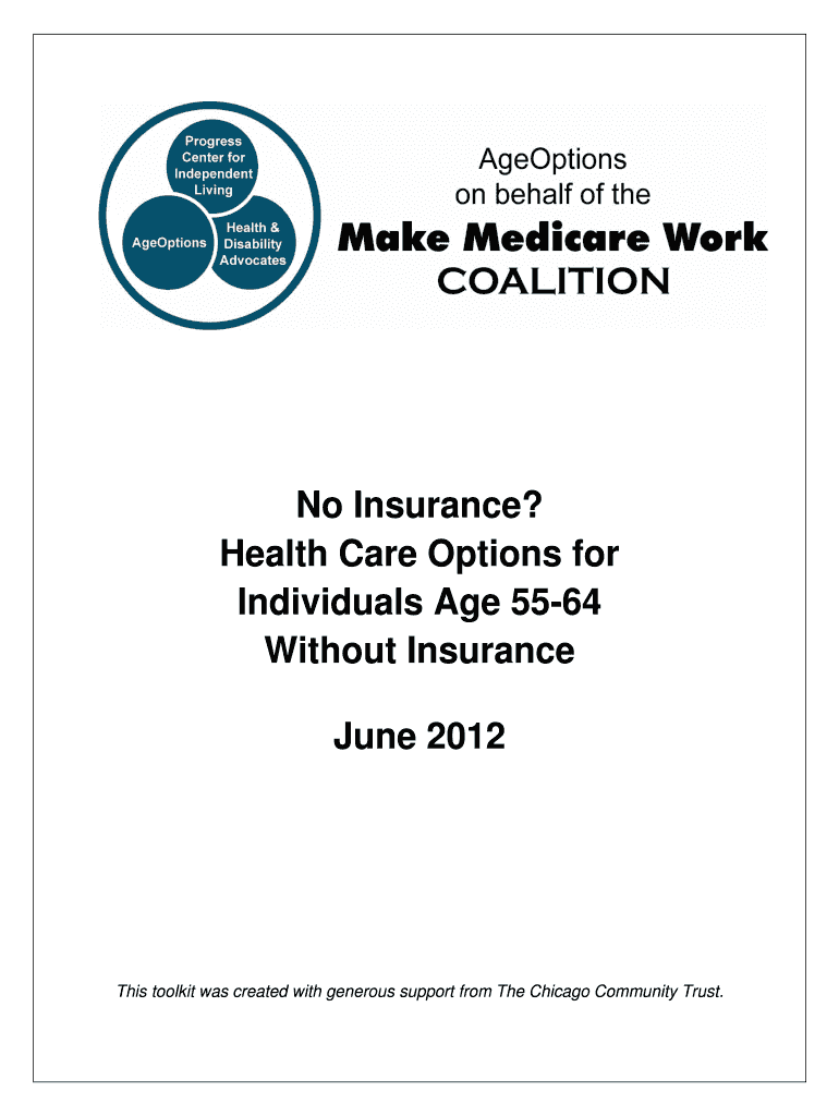 Fillable Online No Insurance Fax Email Print - pdfFiller